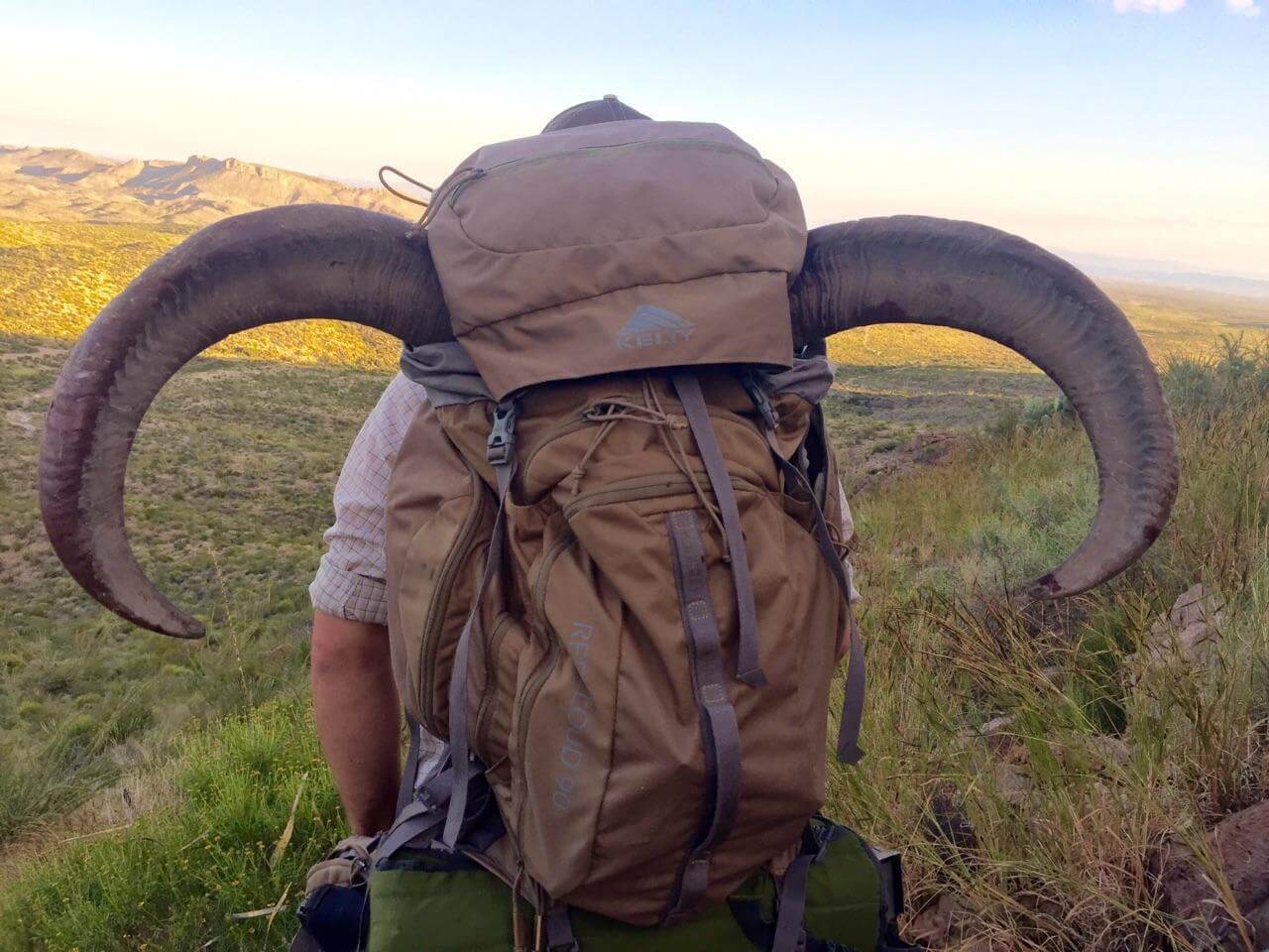 5 Reasons to Consider a Texas Aoudad Hunt - Worldwide Trophy Adventures
