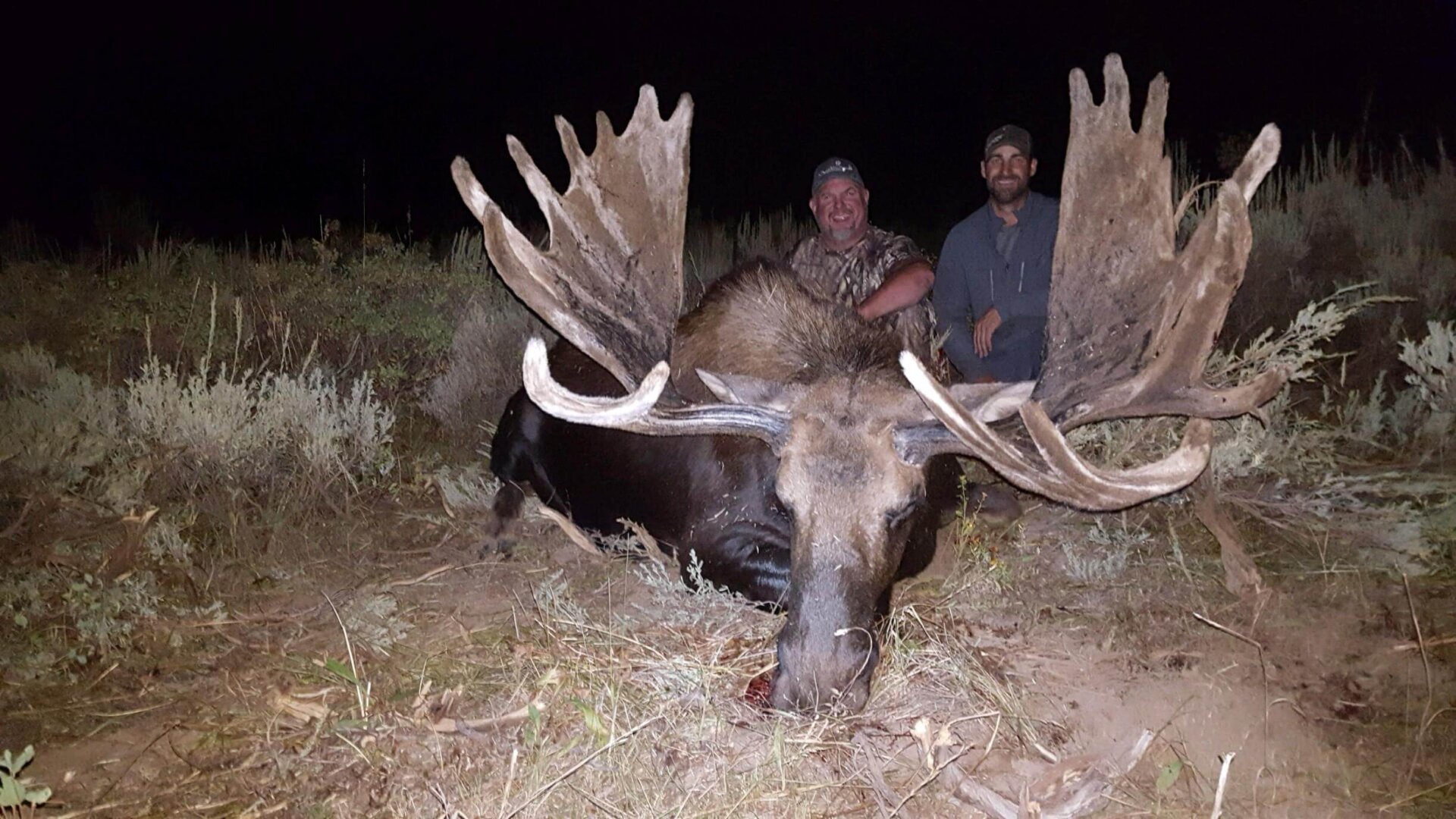 Idaho Moose - The Most Overlooked Draw in the West - Worldwide Trophy ...
