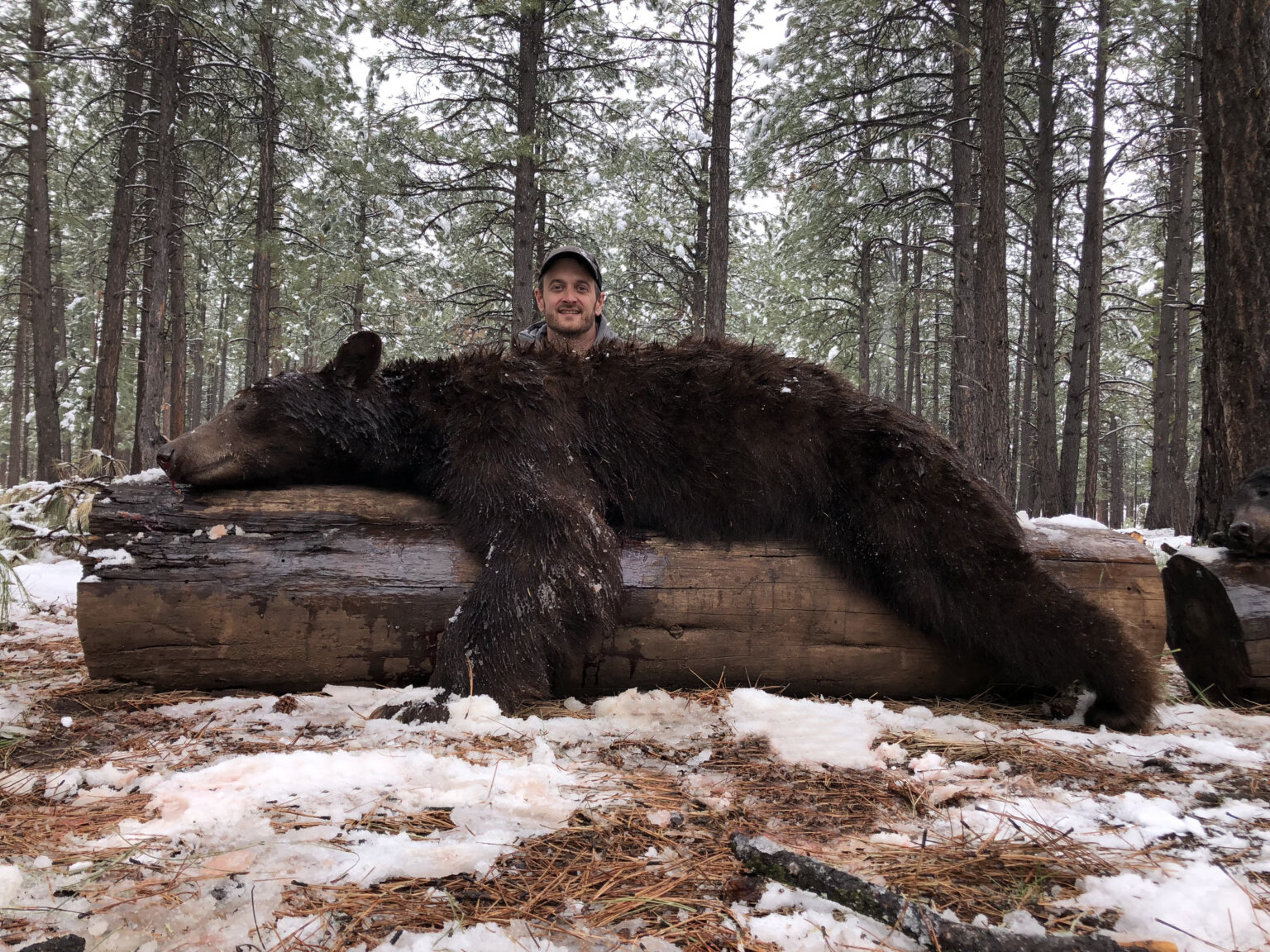 Summertime Black Bear Hunting on the White Mountain Apache - Worldwide ...