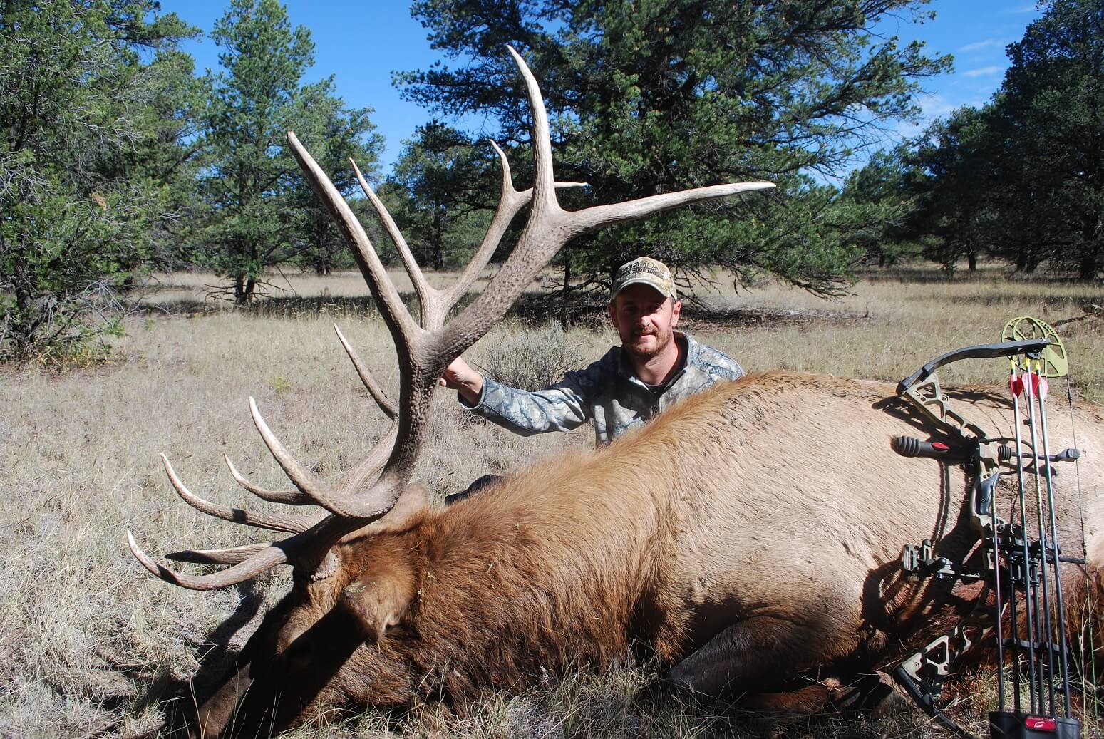 Archery Elk Season is Right Around the Corner! - Worldwide Trophy ...
