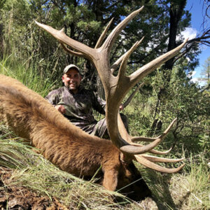 How it Works - Worldwide Trophy Adventures