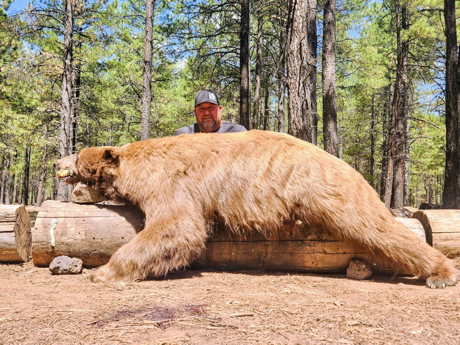 Arizona White Mountain Apache Black Bear Hunting Guide