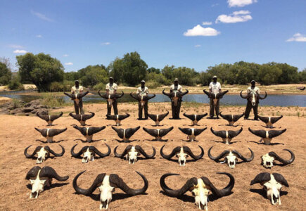 International Big Game Hunting Trips - Worldwide Trophy Adventures