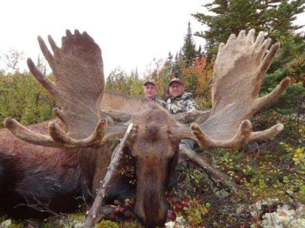 Moose Hunting Trips - Alaska Yukon, Canada, Shiras Moose Hunts