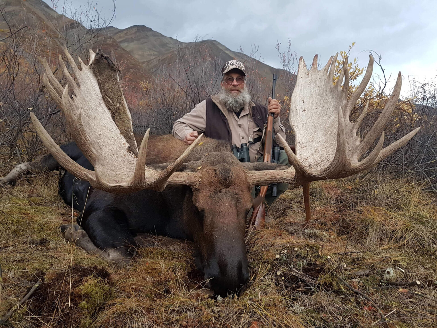 Moose Hunting Trips - Alaska Yukon, Canada, Shiras Moose Hunts