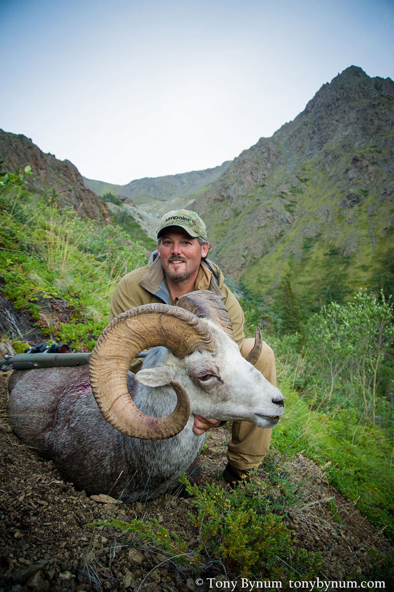 British Columbia Stone Sheep Hunting Outfitter