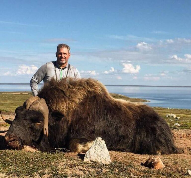 Nunavut Muskox and Combination Hunts