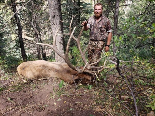 Colorado Unit 61 Elk