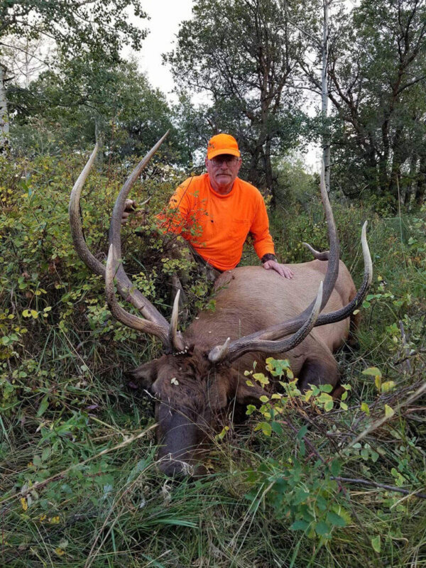 Colorado Elk & Deer - A Tags Deadline You Don't Want To Miss ...