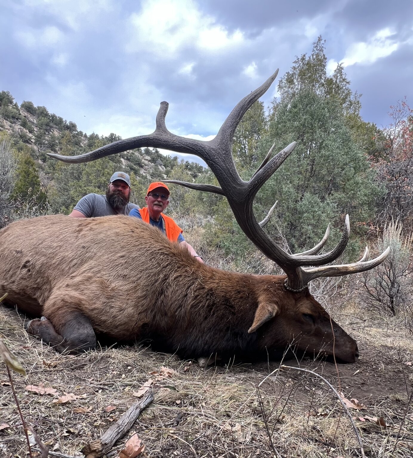 Apply for Colorado’s Limited-Entry Big Game Tags - Worldwide Trophy ...