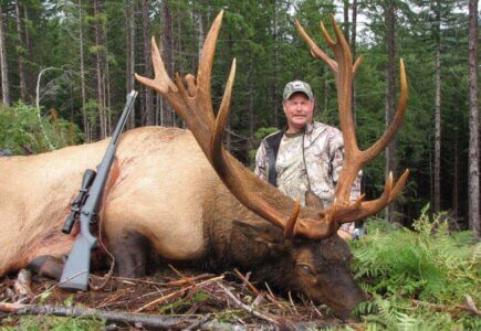 Elk Hunting Trips - Worldwide Trophy Adventures