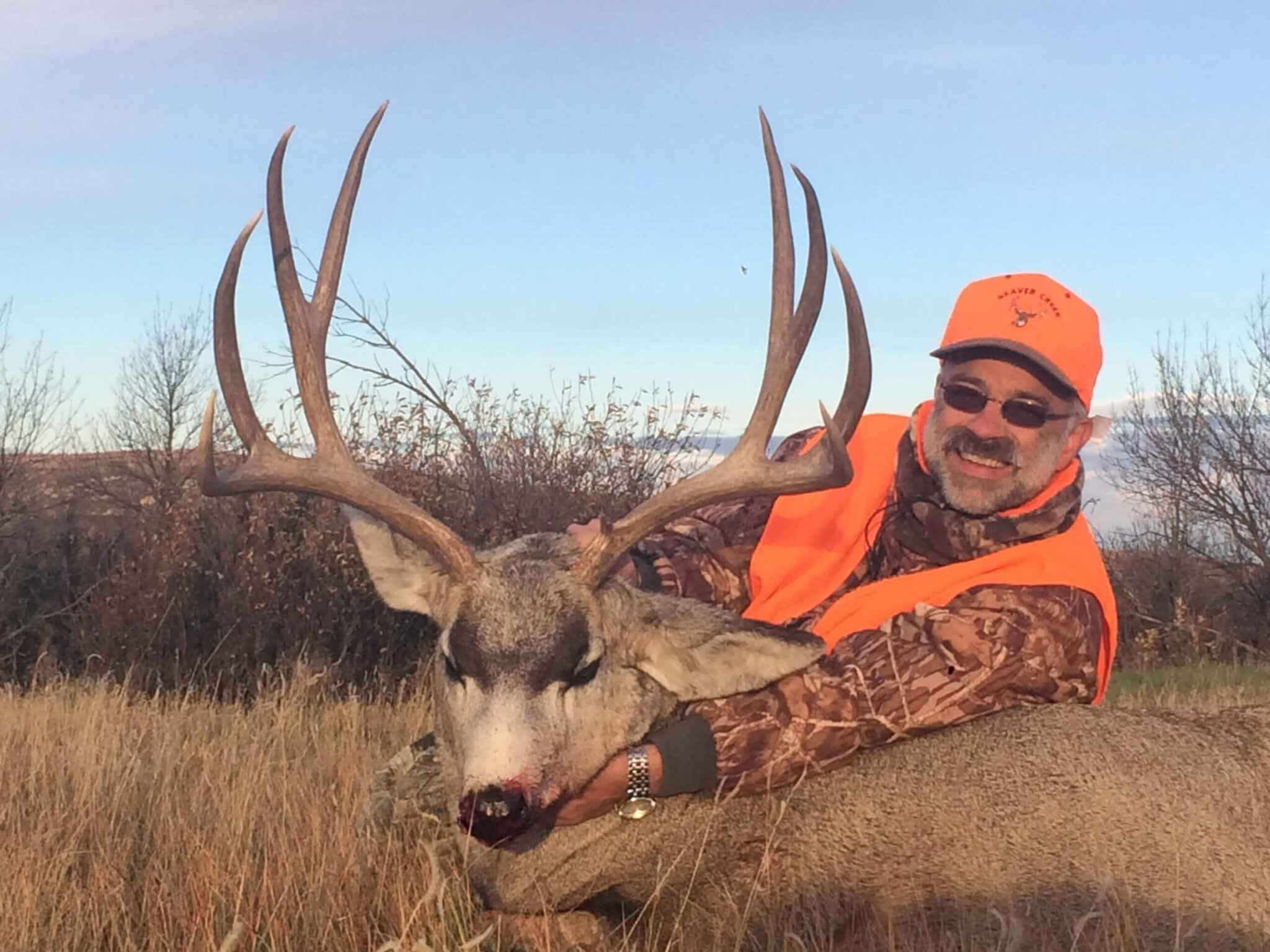 Southeast Montana Mule Deer - Archery/Rifle