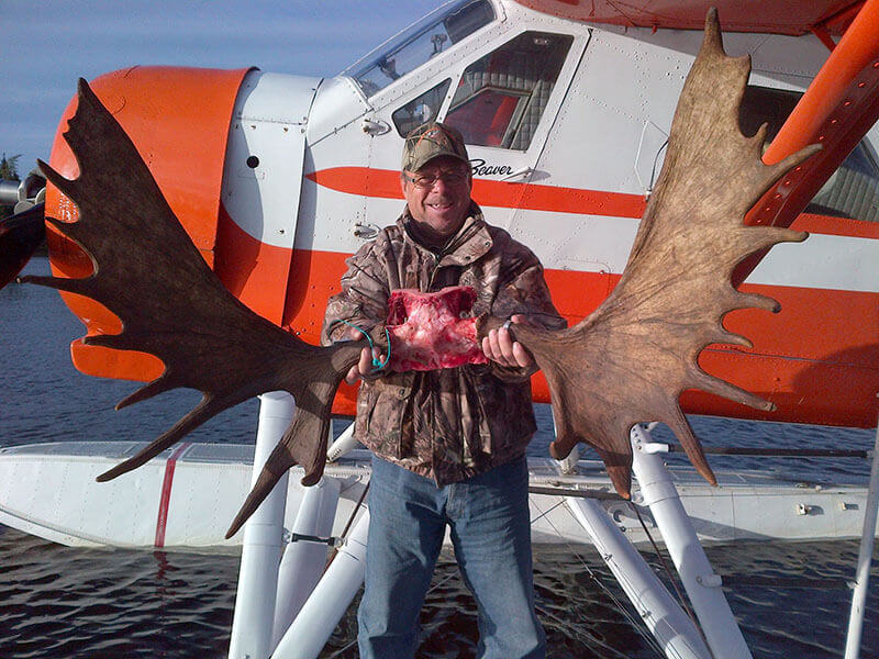Newfoundland Fly-In Moose Hunting