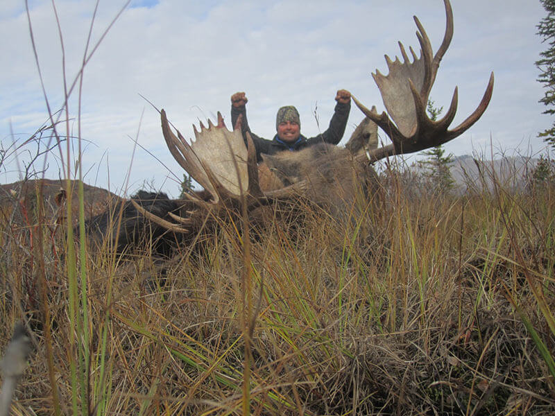 Trophy Horseback Moose Hunt in the Alaska Range