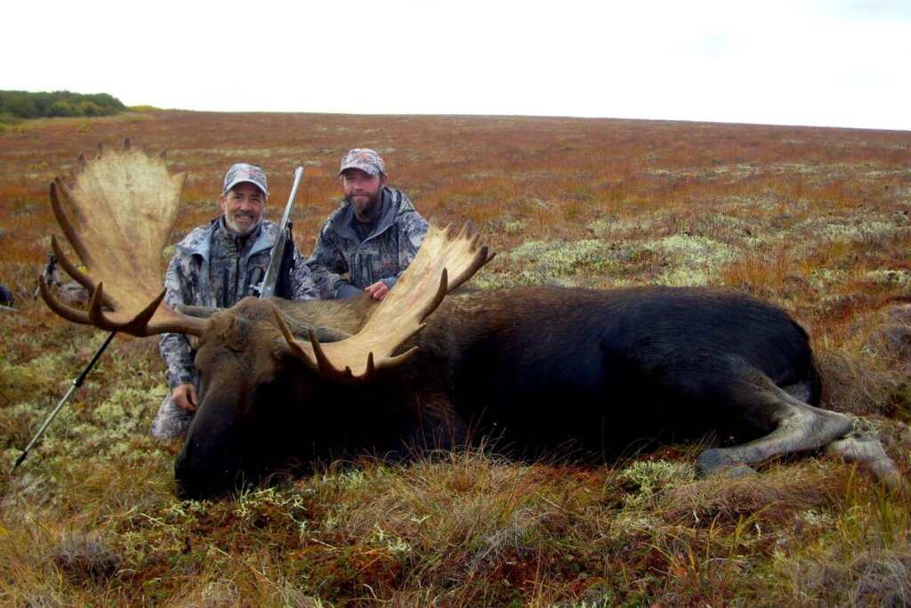 Alaska World Premier Moose and Bear Hunting