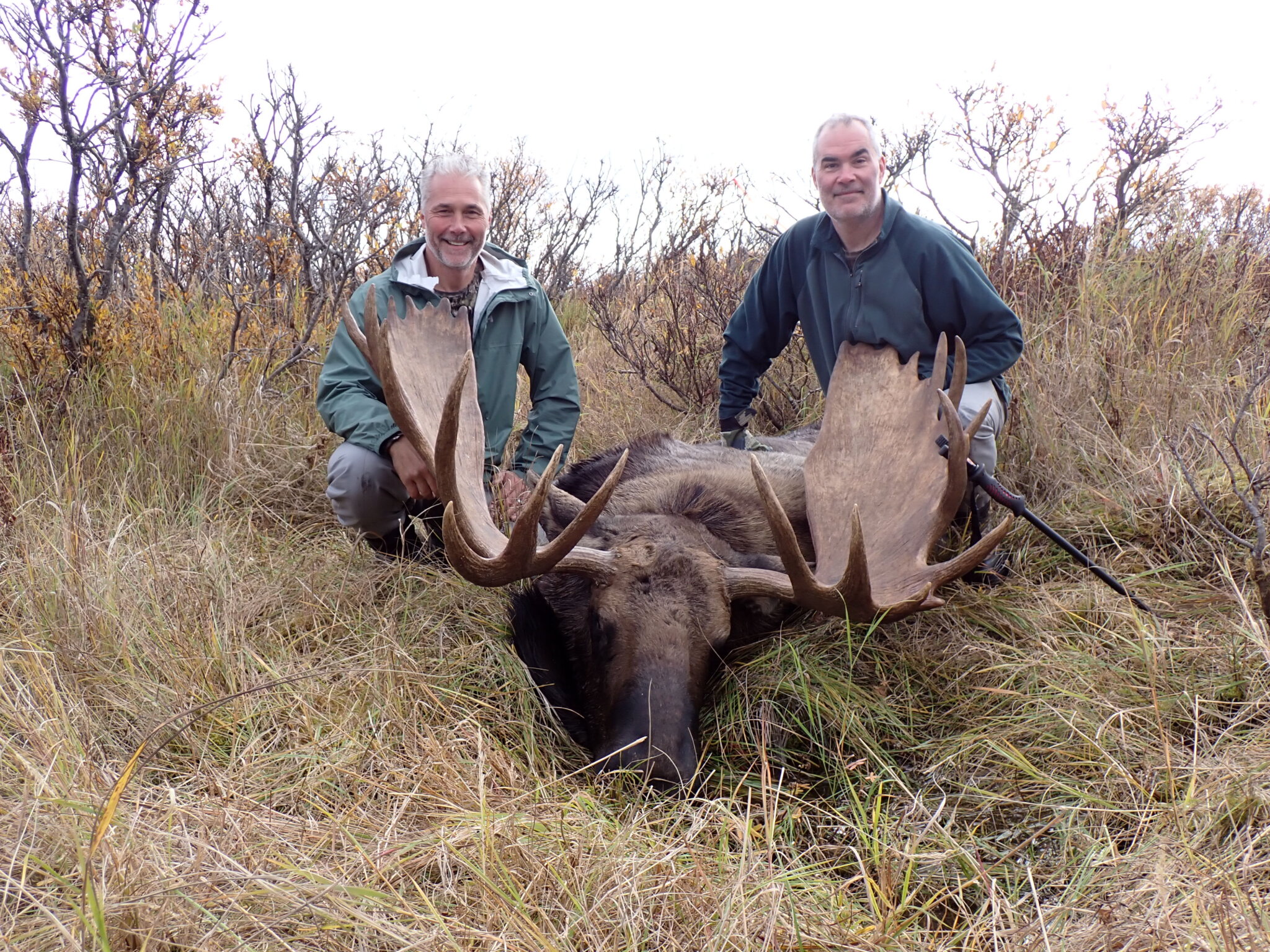 Alaska Unguided Moose - Archery/Rifle