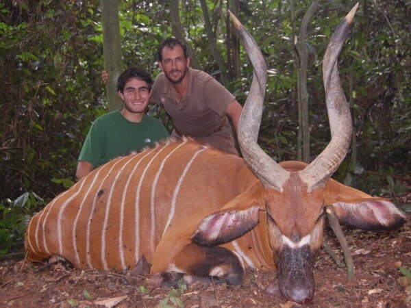 Bongo Safari in Cameroon