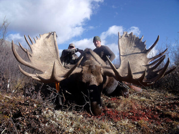Trophy Moose/Caribou Hunting Combo in the NWT
