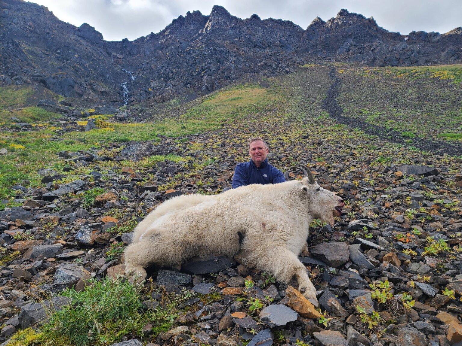 British Columbia Mountain Goat Hunting