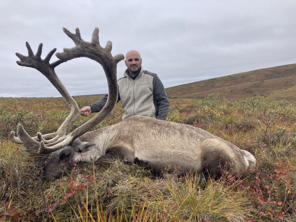 Alaska Brooks Range Guided Caribou Hunts
