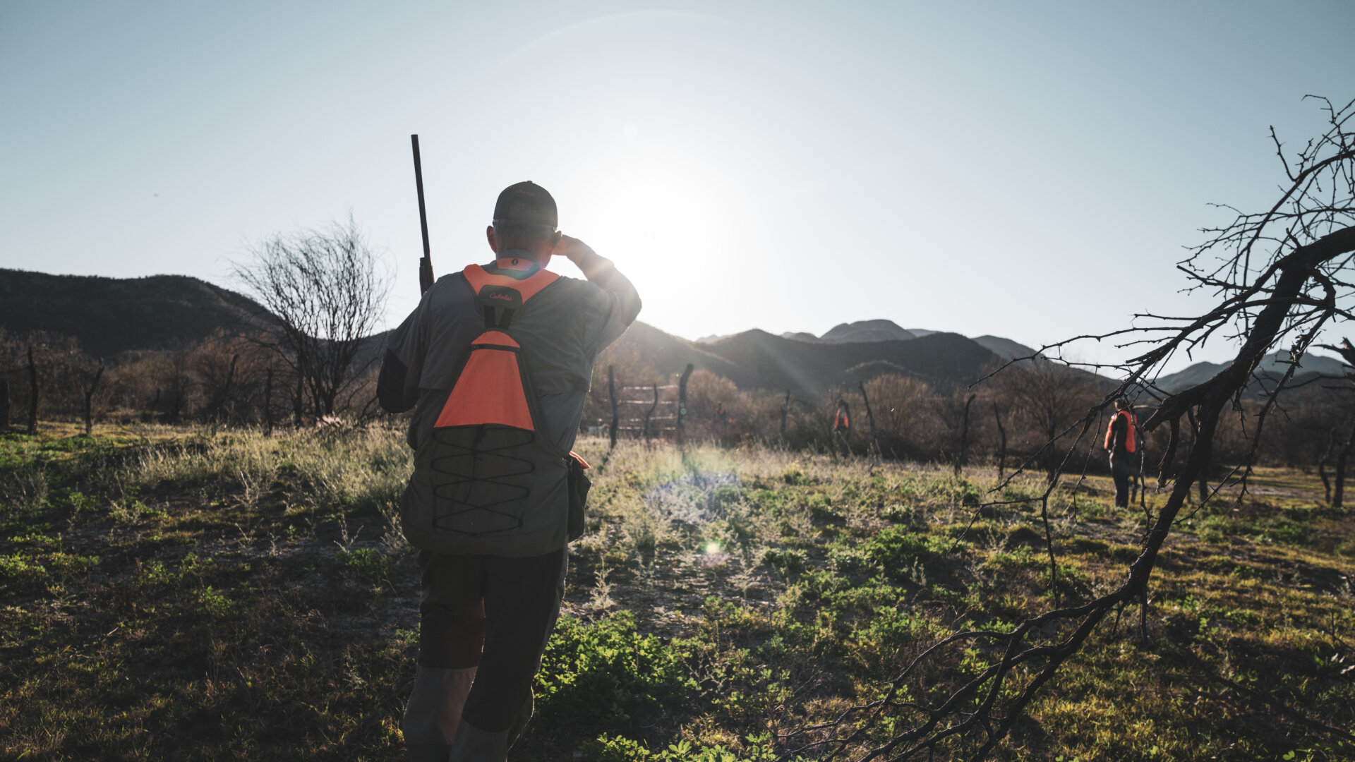 Quail Hunting in Sonora Mexico - The Journey Within, A Bird Hunter’s ...