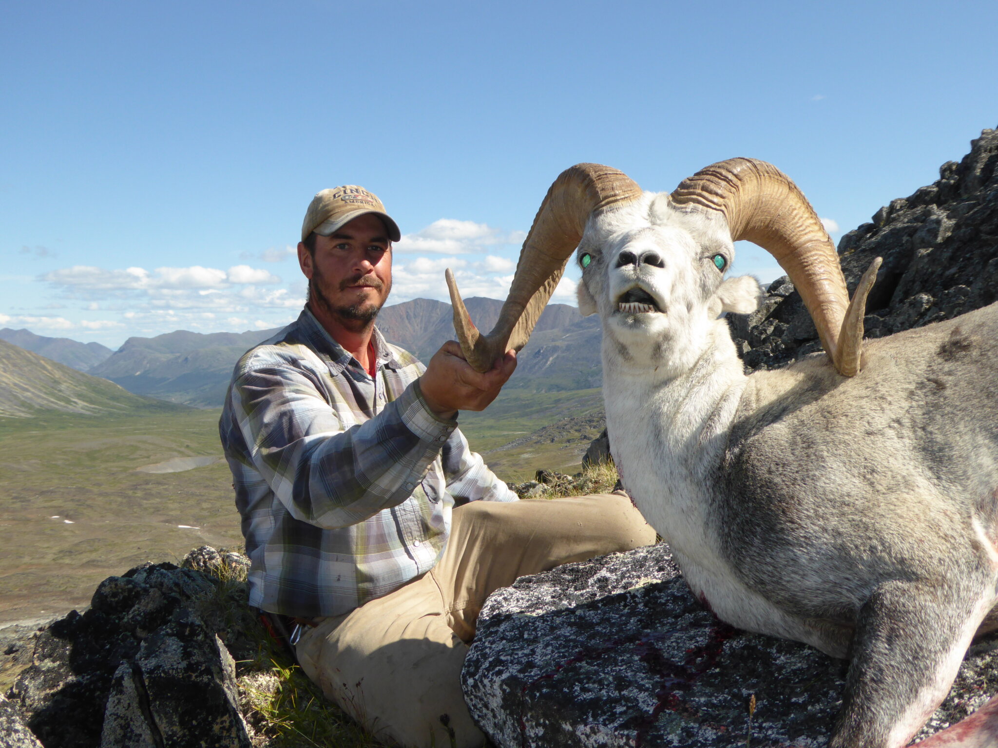 NORTHWEST B.C. HORSEBACK STONE SHEEP HUNT - Worldwide Trophy Adventures