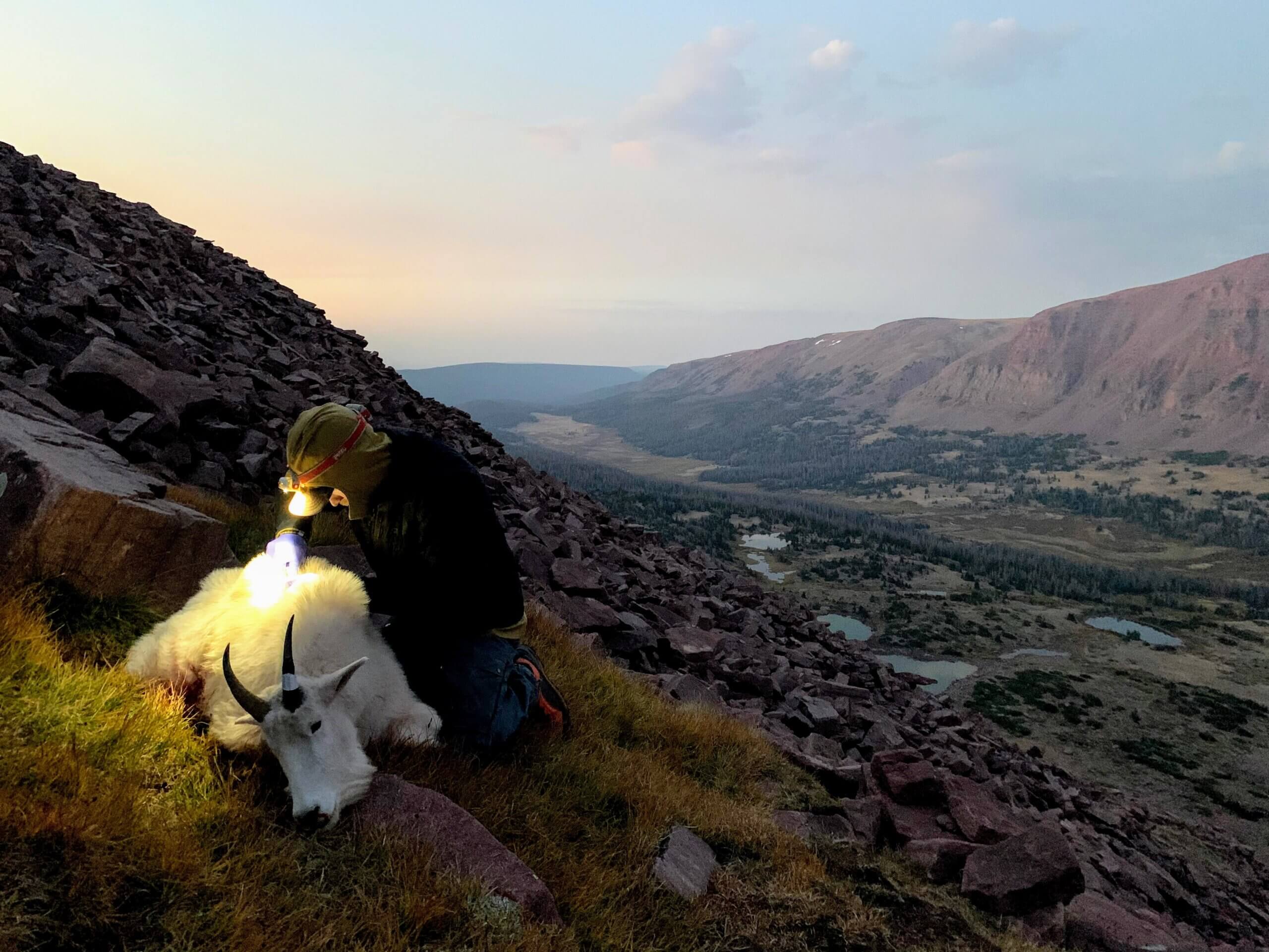 WTA TAGS – 2020 UPDATE and 2021 Renewal Season! - Worldwide Trophy ...