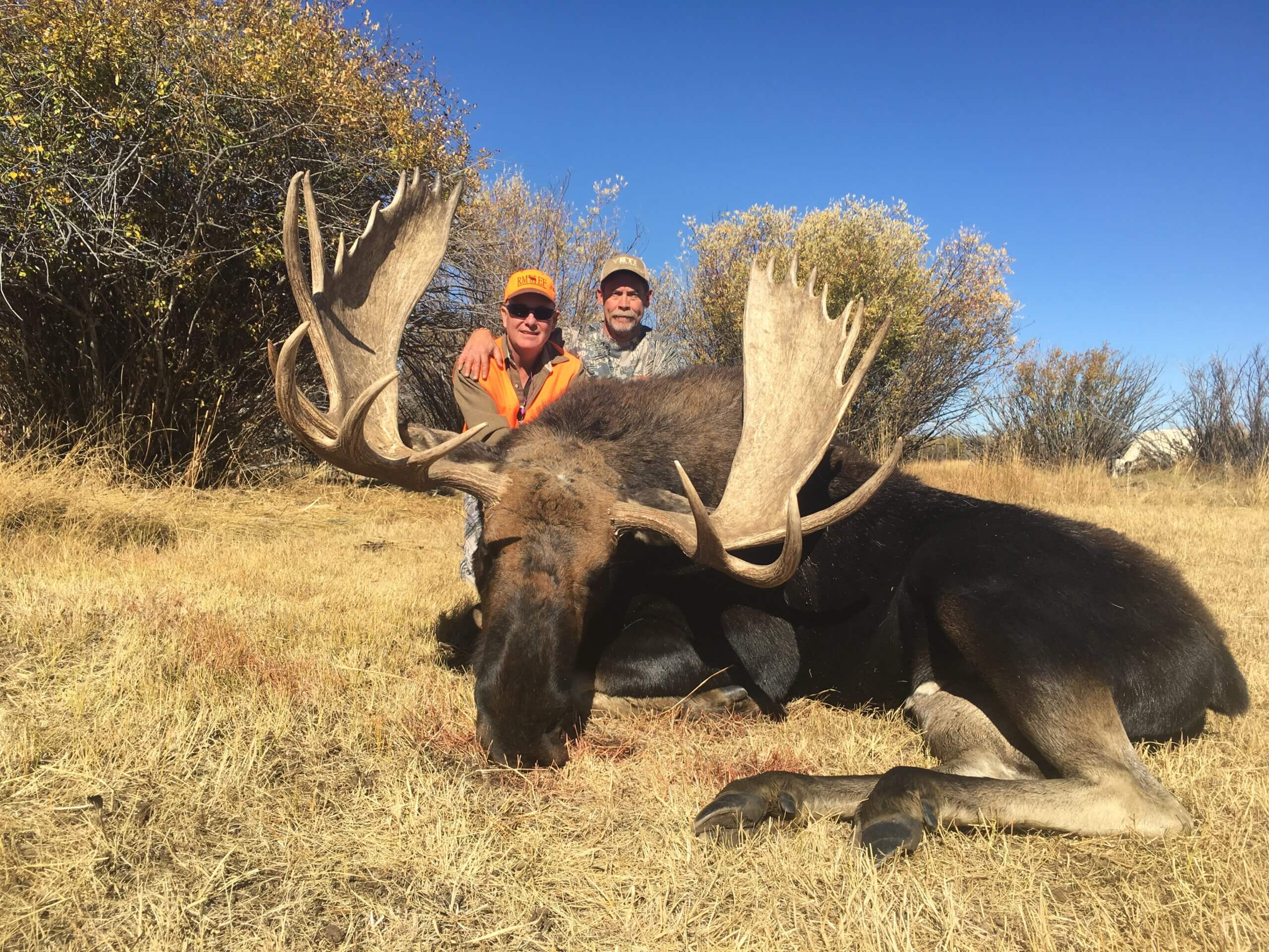 Moose, Sheep And Goats In The Centennial State! - Worldwide Trophy ...