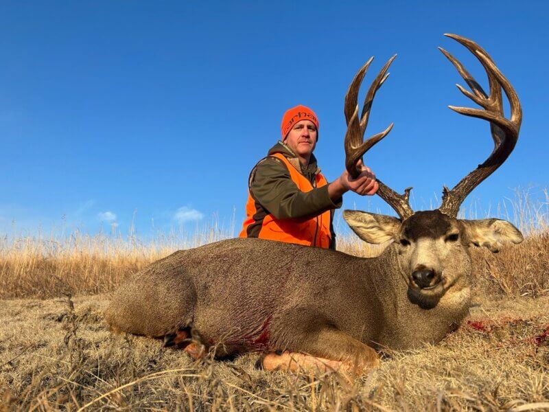 Apply for Colorado’s Limited-Entry Big Game Tags - Worldwide Trophy ...