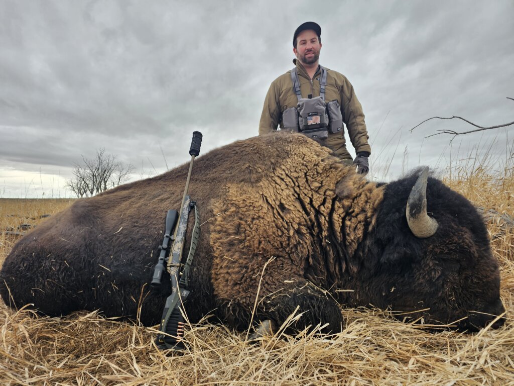 South Dakota Bison - Worldwide Trophy Adventures