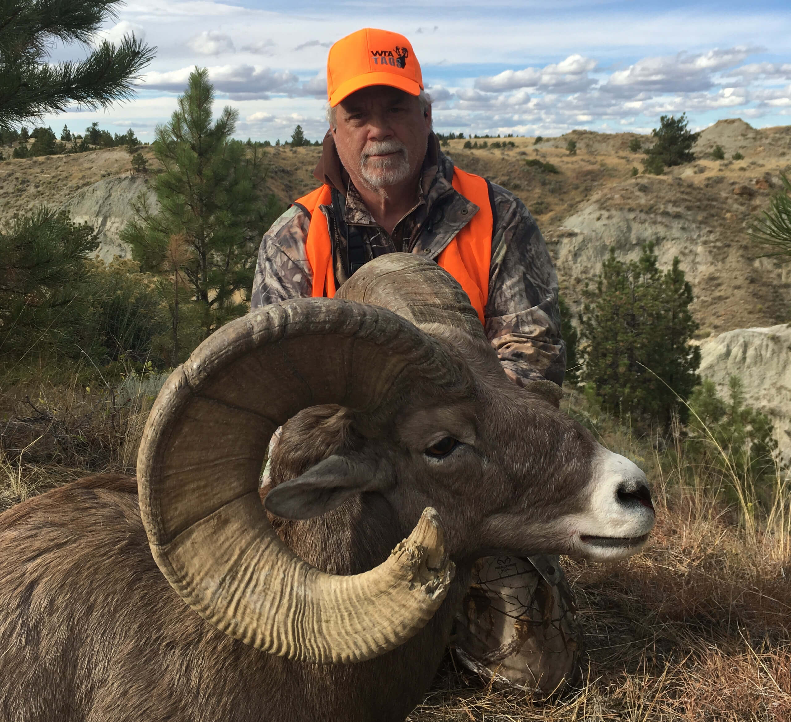 Montana Sheep, Moose, and Goat: May 1 Deadline - Worldwide Trophy ...