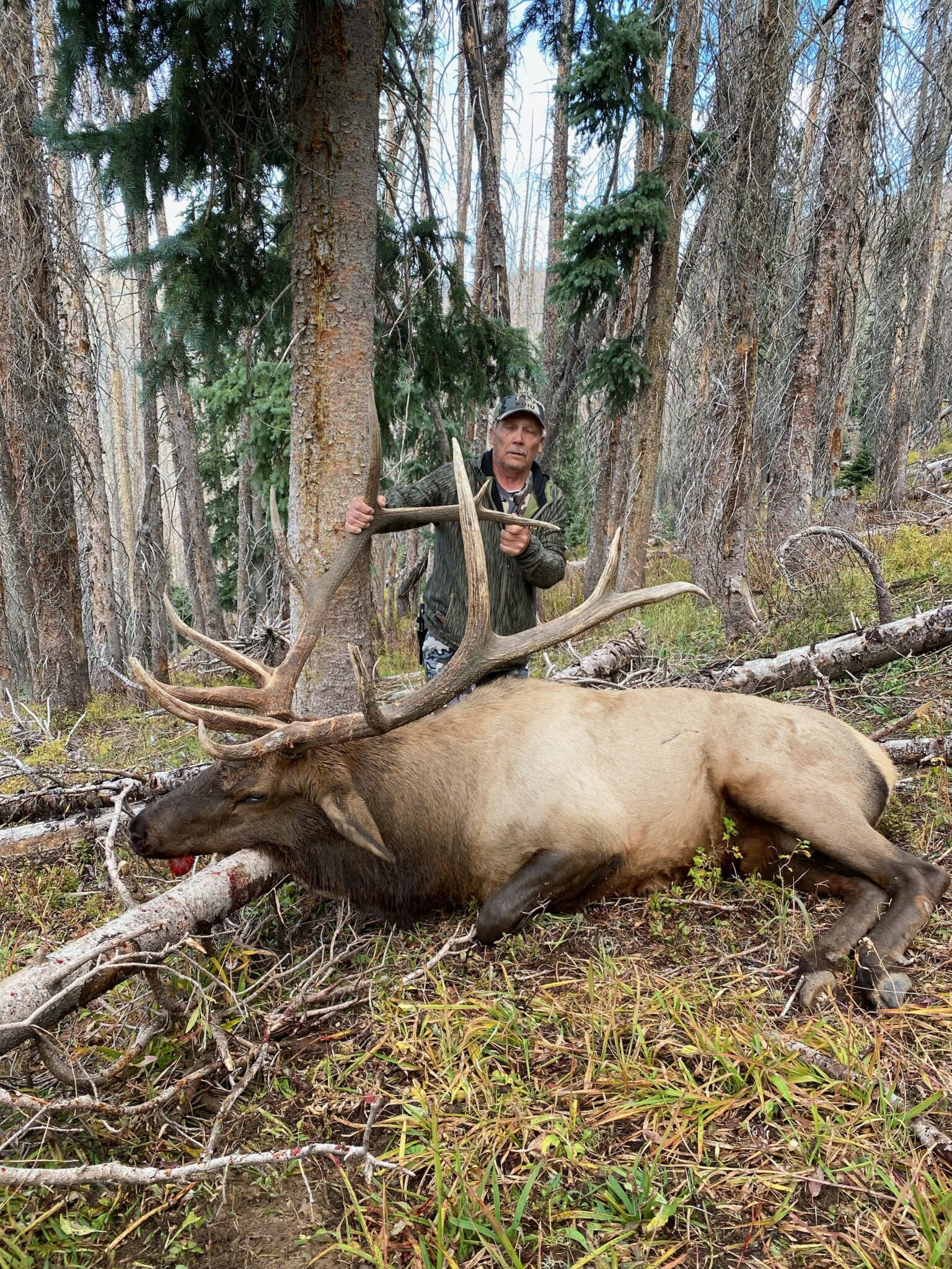 Unit 76 - Colorado Elk Hunt - Worldwide Trophy Adventures