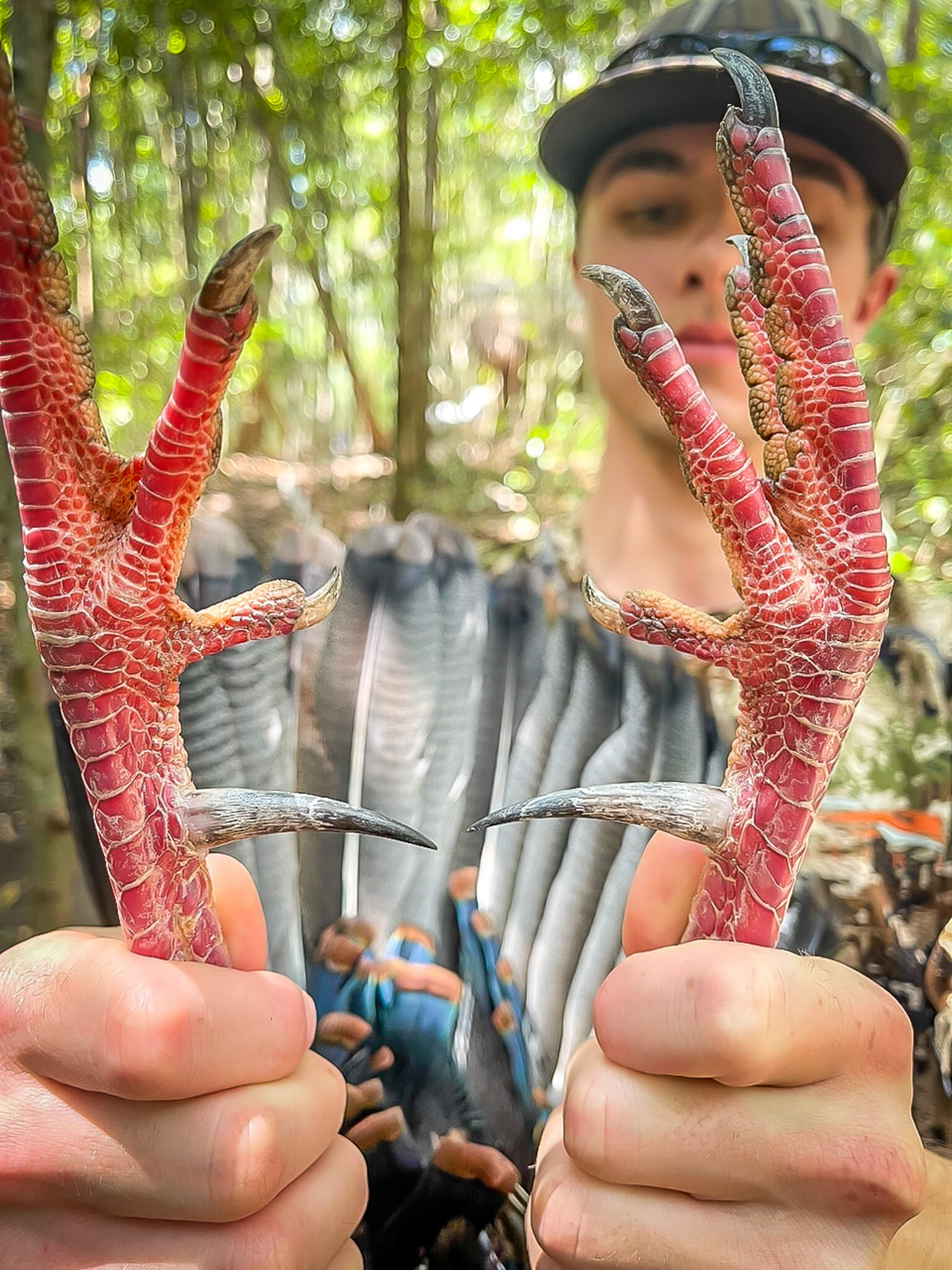 Welcome to the Jungle – Ocellated Turkey Hunting - Worldwide Trophy ...