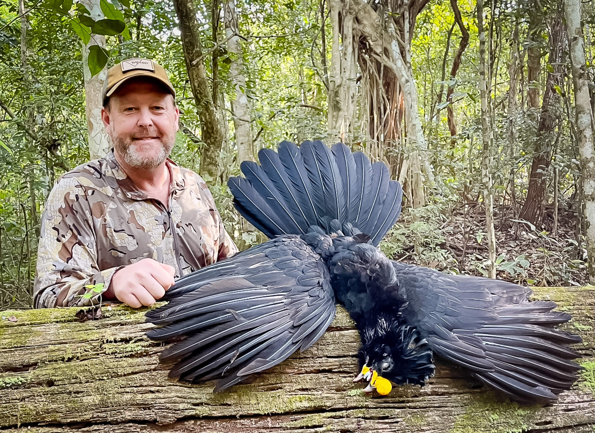 Welcome to the Jungle – Ocellated Turkey Hunting - Worldwide Trophy ...