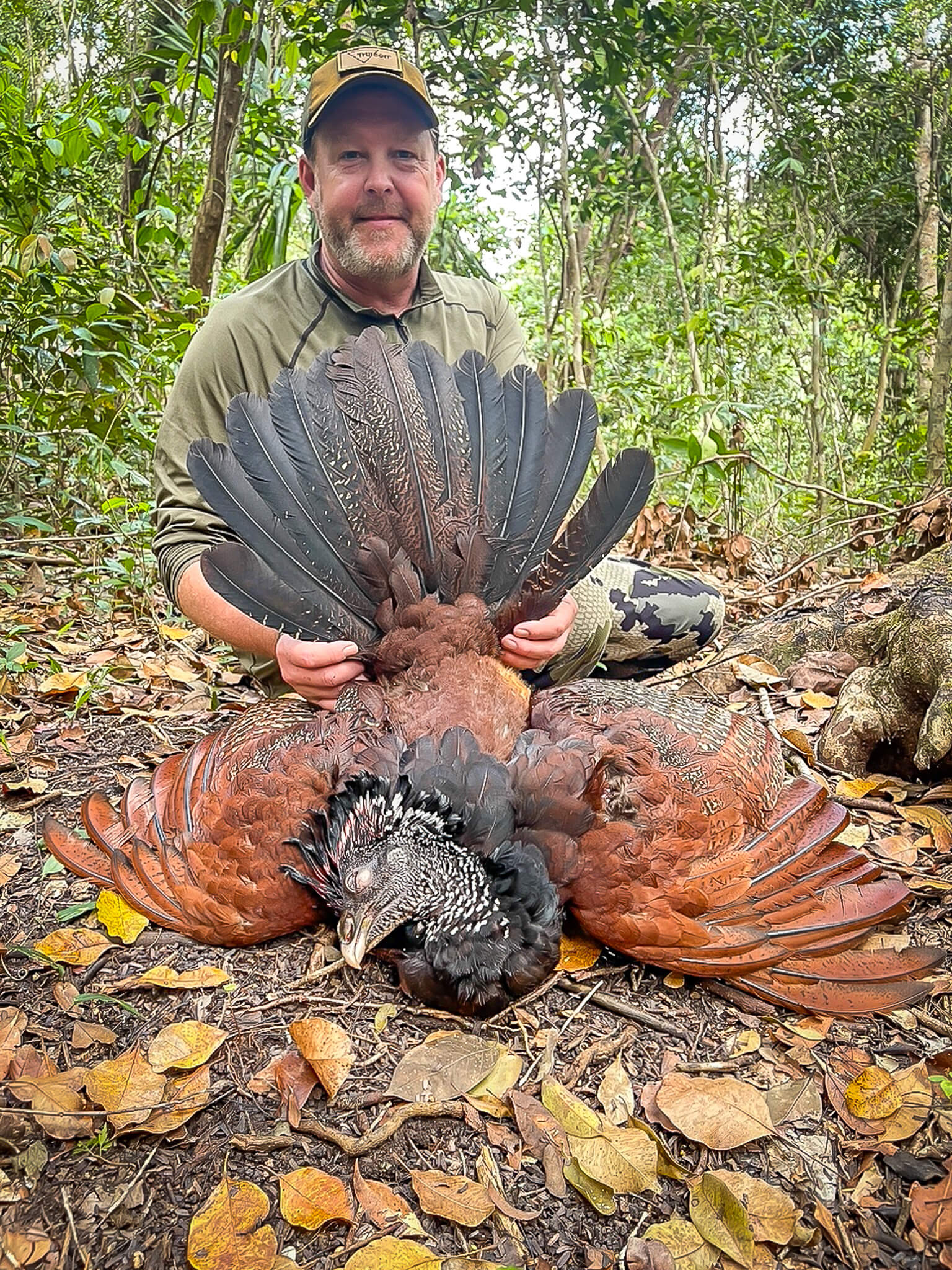 Welcome to the Jungle – Ocellated Turkey Hunting - Worldwide Trophy ...