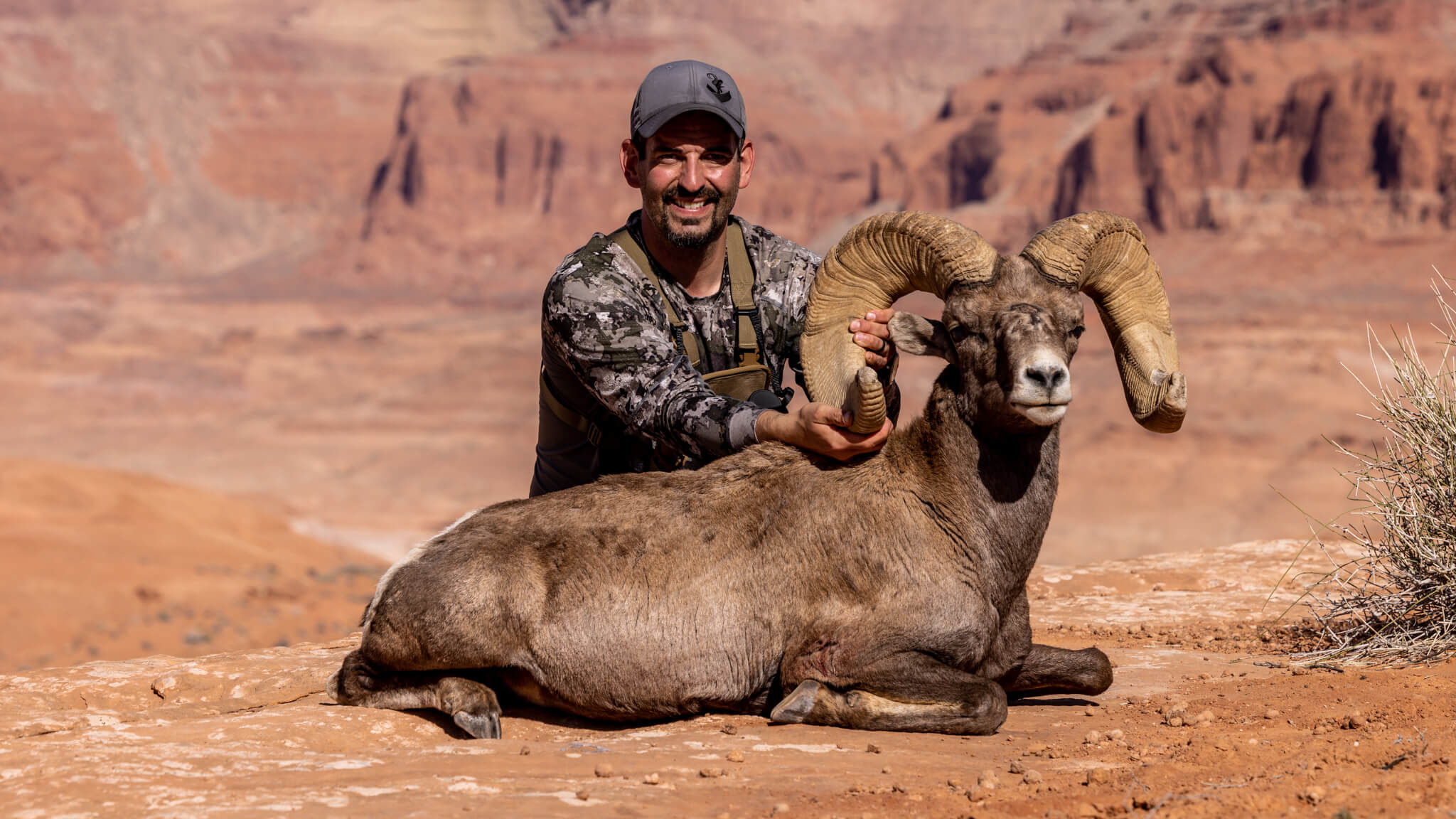 Red Rock Rams - Worldwide Trophy Adventures