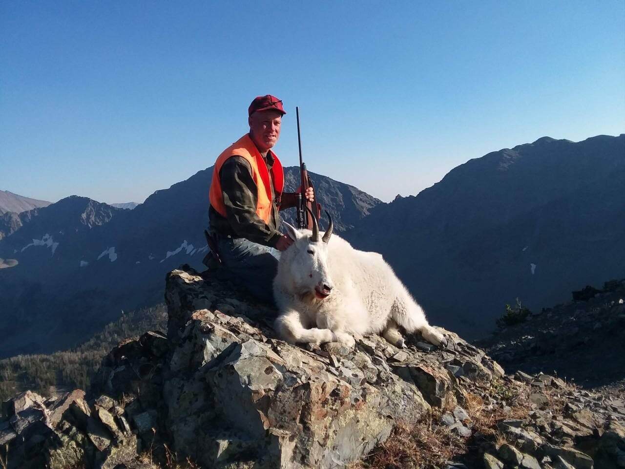 Montana: Must-Apply State for Moose, Sheep, and Goat - Worldwide Trophy ...