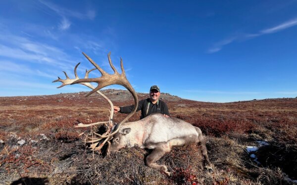 Greenland Fall Caribou & Muskox Hunt | Cabin & Field Tent Camp ...