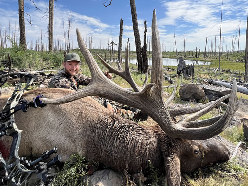 WTA TAGS Service - How it Works - Worldwide Trophy Adventures