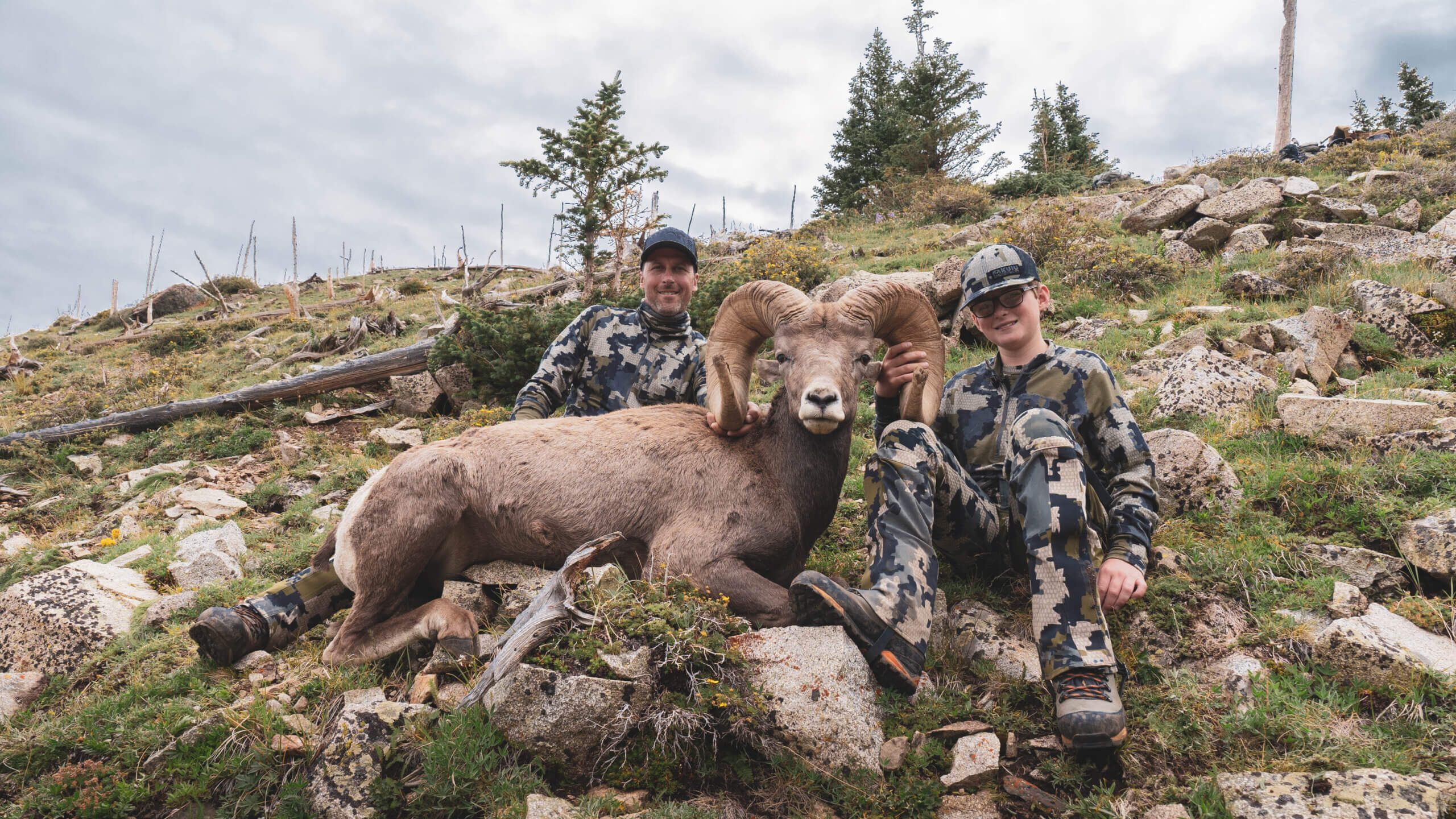 How to Make Sheep Hunting Affordable - Worldwide Trophy Adventures