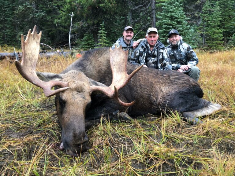 B.C. Shiras Moose- Guaranteed Tags - Worldwide Trophy Adventures