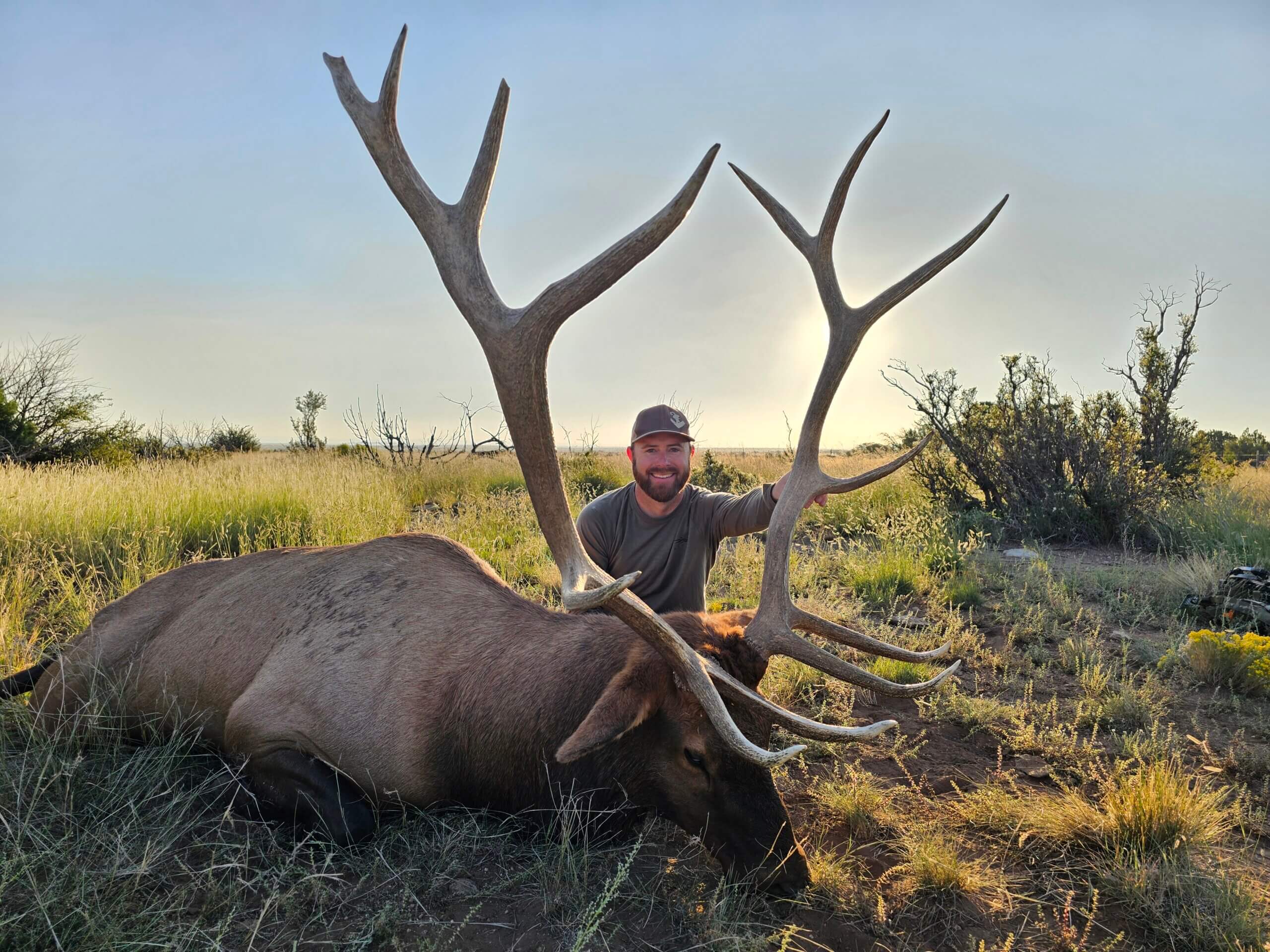 Hunt Arizona Elk and Antelope: Maximize Your Chances with WTA TAGS ...