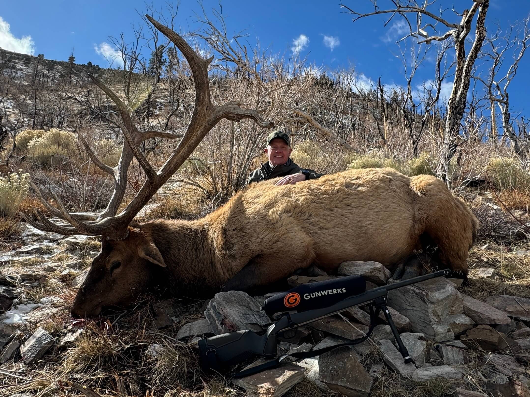 Dialed In: A 360-Inch Bull Elk and the Luck that Made It Happen ...