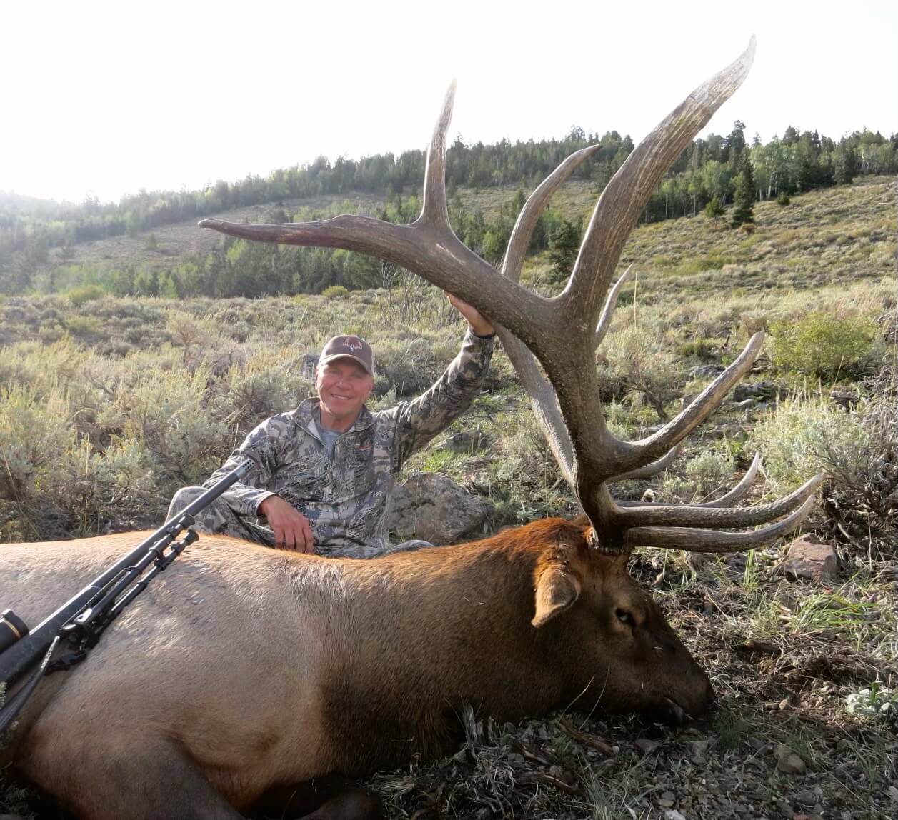 2025 Guaranteed-Tag Elk Hunts – Prime Spots Still Available ...
