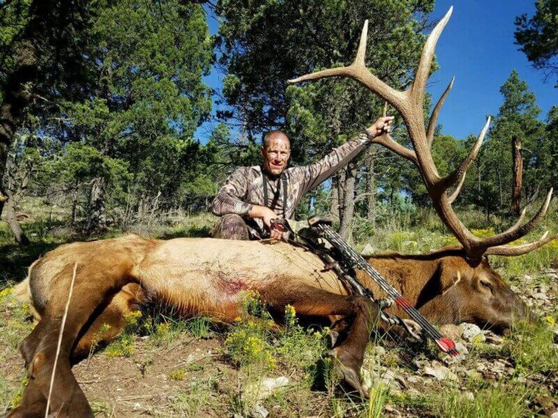 2025 Guaranteed-Tag Elk Hunts – Prime Spots Still Available ...
