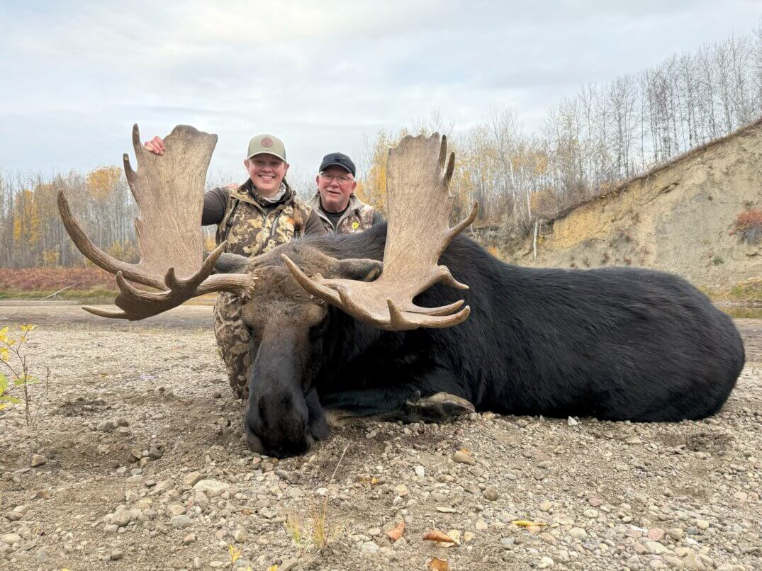 Alberta Moose in the Rut - Worldwide Trophy Adventures