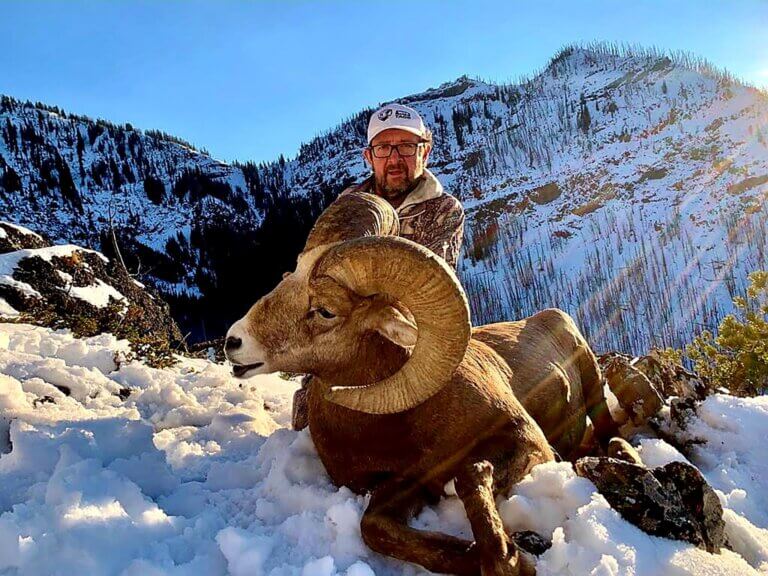 Montana Rocky Mountain Bighorn Sheep – A World-Class Opportunity ...