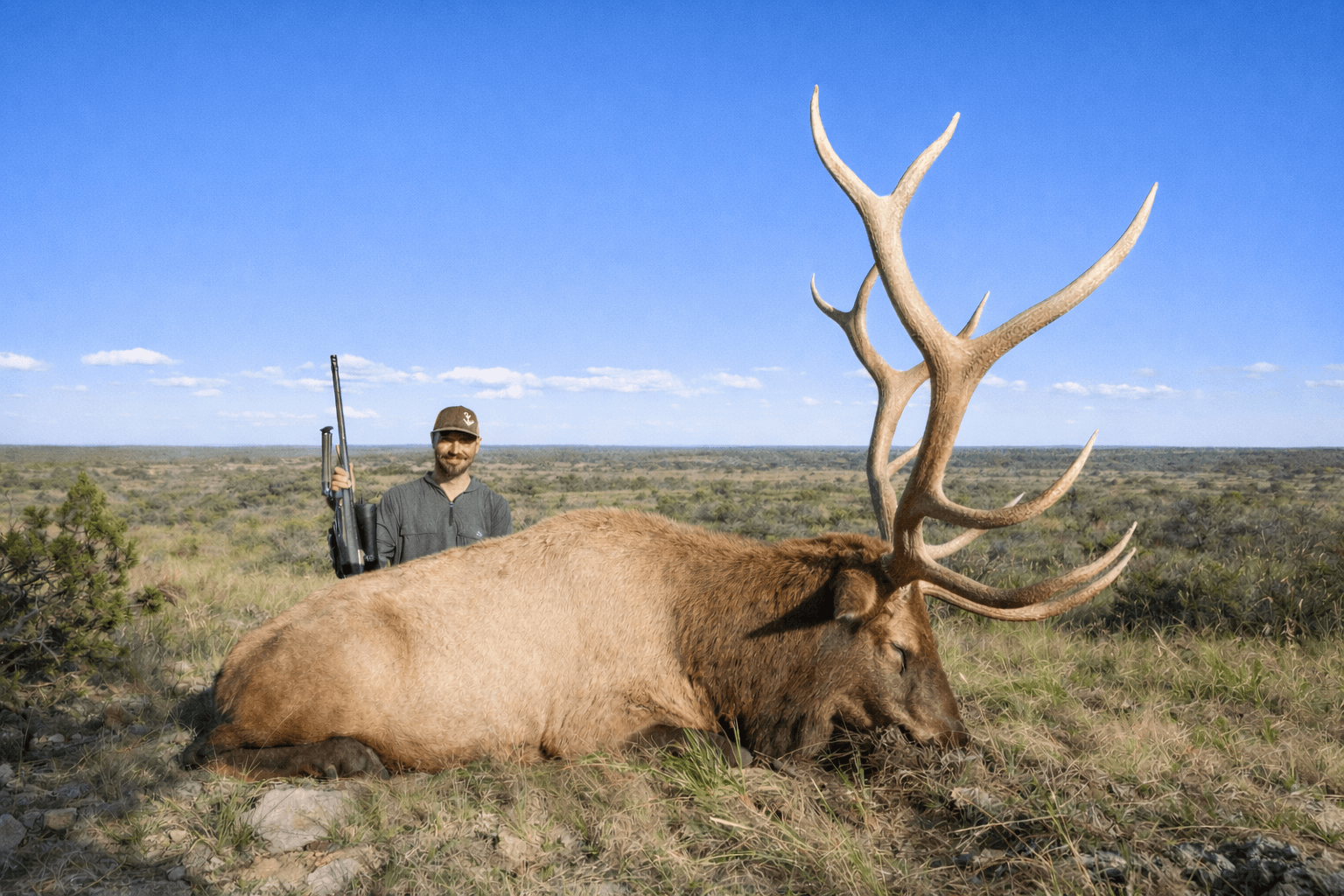 Drawing Top-Tier, Limited-Entry Elk Licenses with WTA TAGS - Worldwide ...