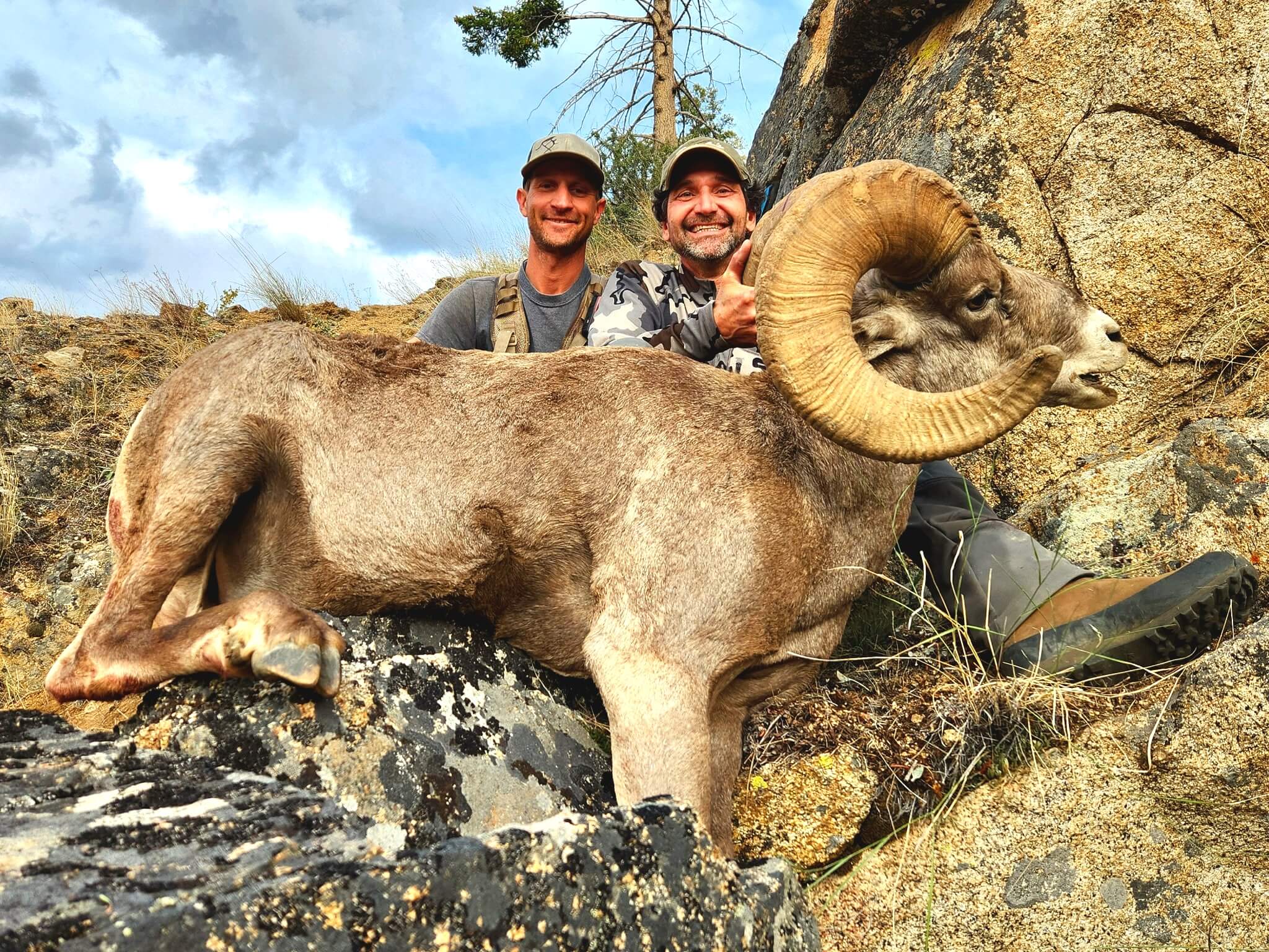 Unlock Your Hunting Goals with WTA TAGS: 2026 Application Season is ...