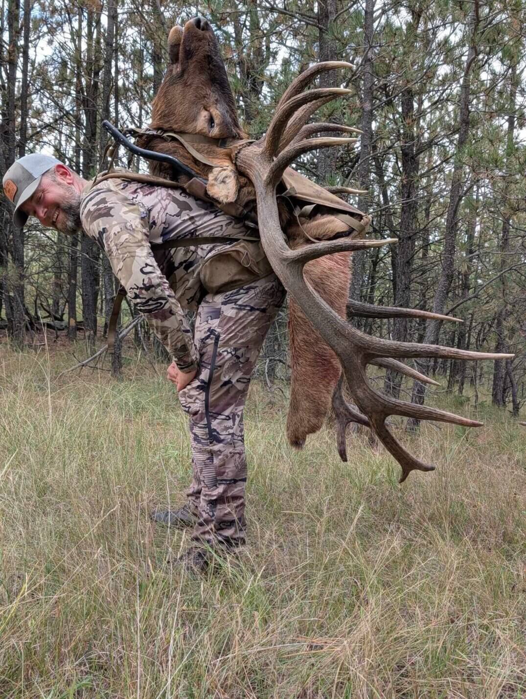 Drawing Top-Tier, Limited-Entry Elk Licenses with WTA TAGS - Worldwide ...